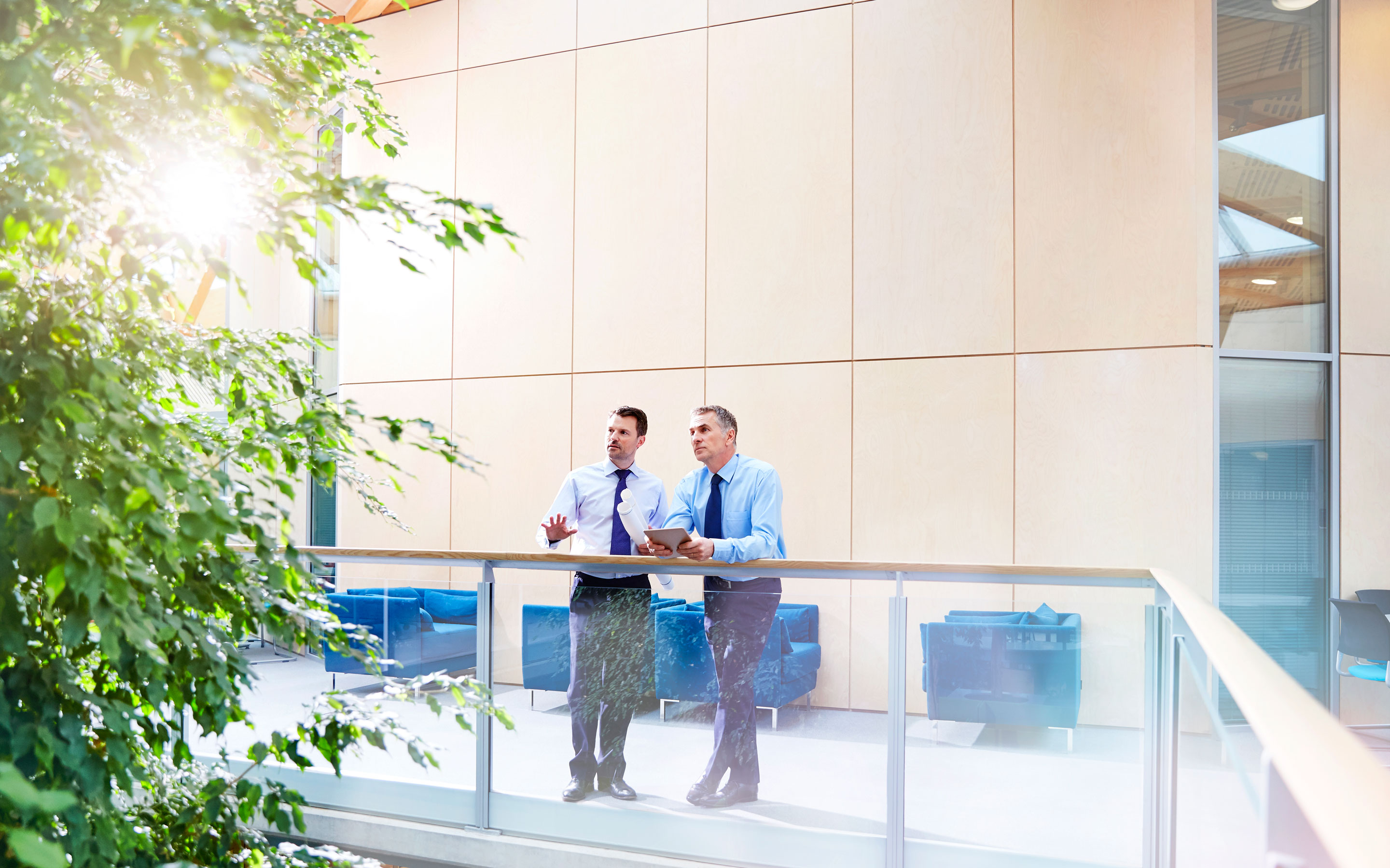 Meister der Transparenz: Wie Digital Champions die Zusammenarbeit ...