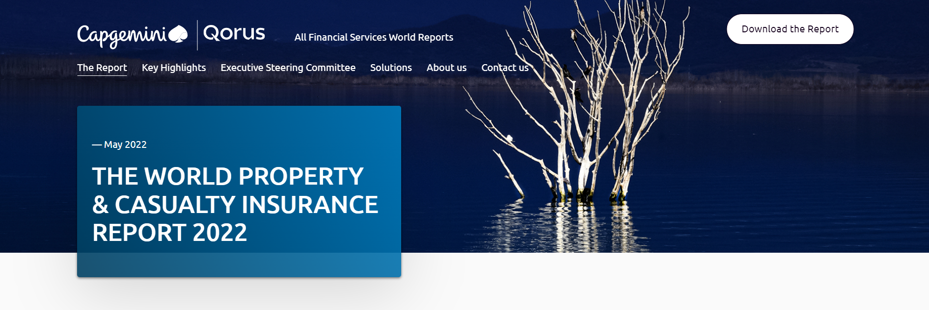 World Property and Casualty Insurance Report - Capgemini Germany