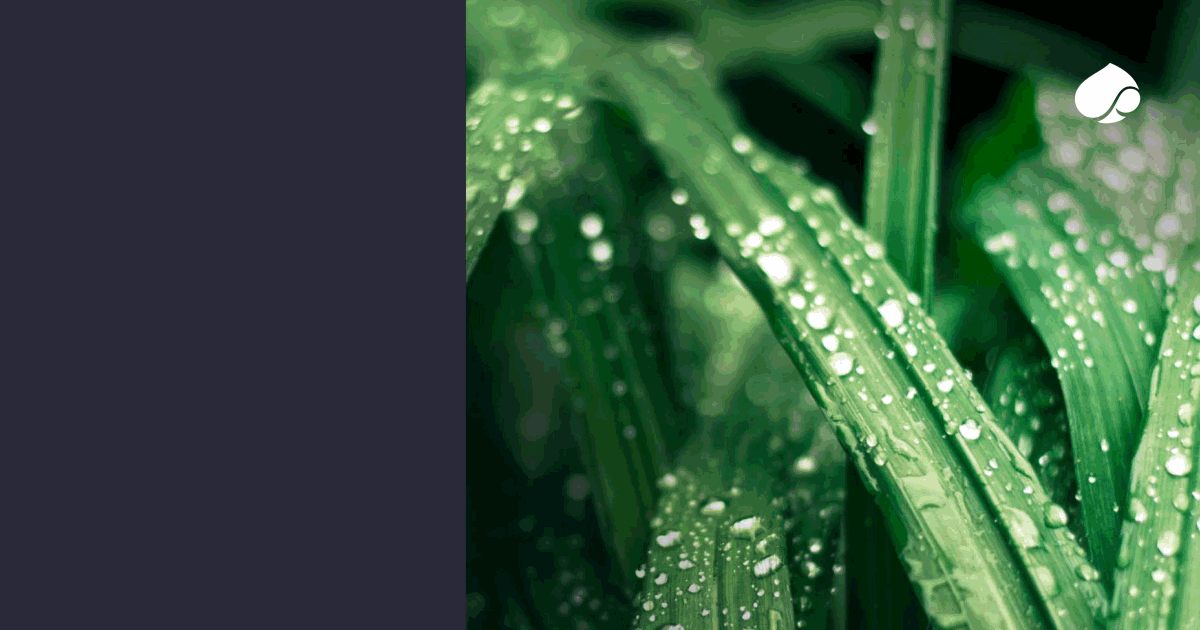 Data for Net Zero - Capgemini Denmark