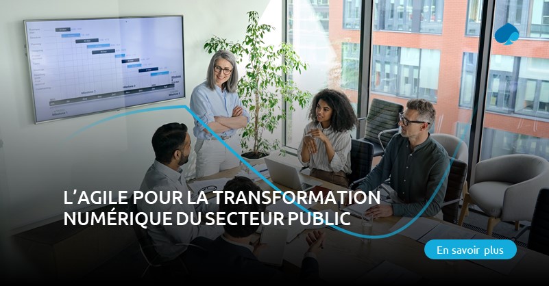 L’agile pour la transformation numérique du secteur public - Capgemini France