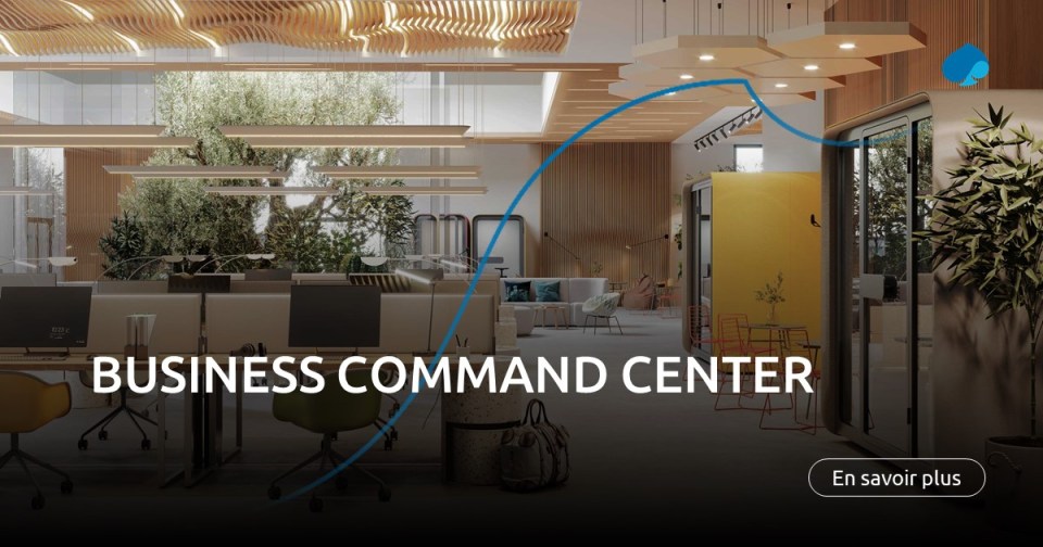 Business Command Center - Capgemini France