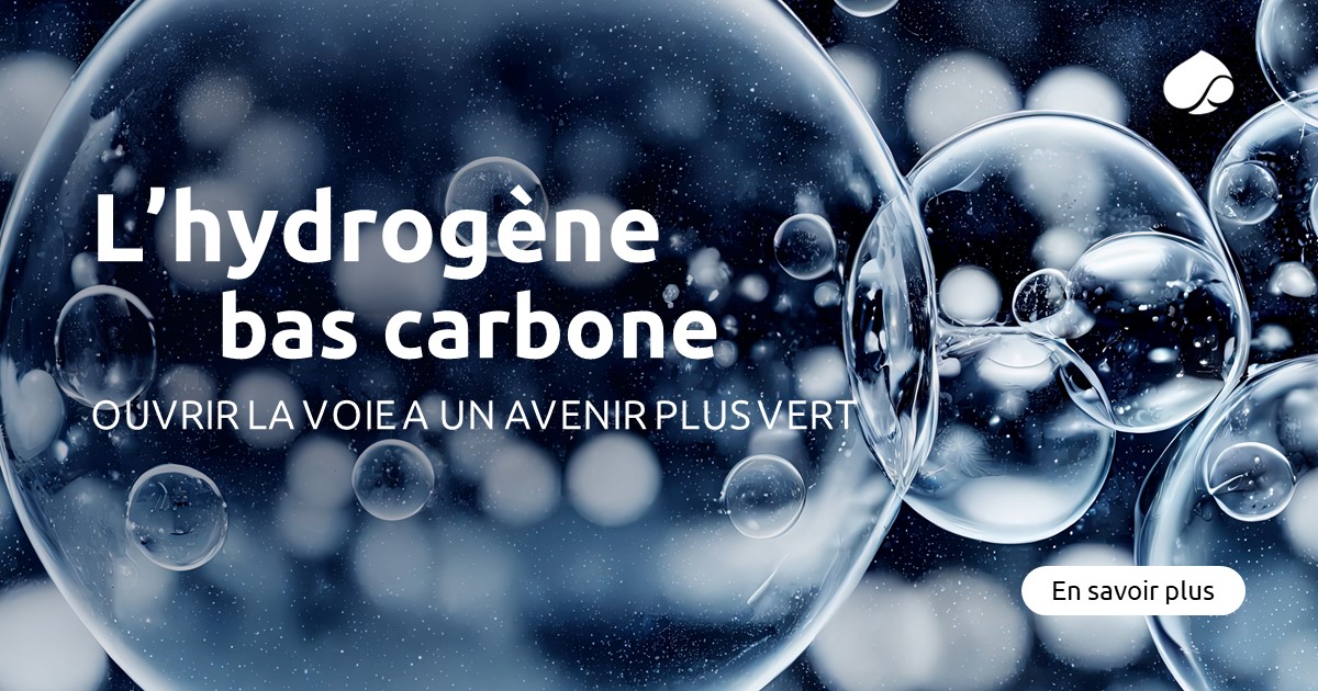Hydrogène vert - Capgemini France