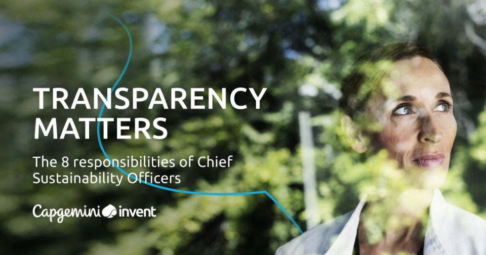 The 8 responsibilities of the chief sustainability officers - Capgemini UK