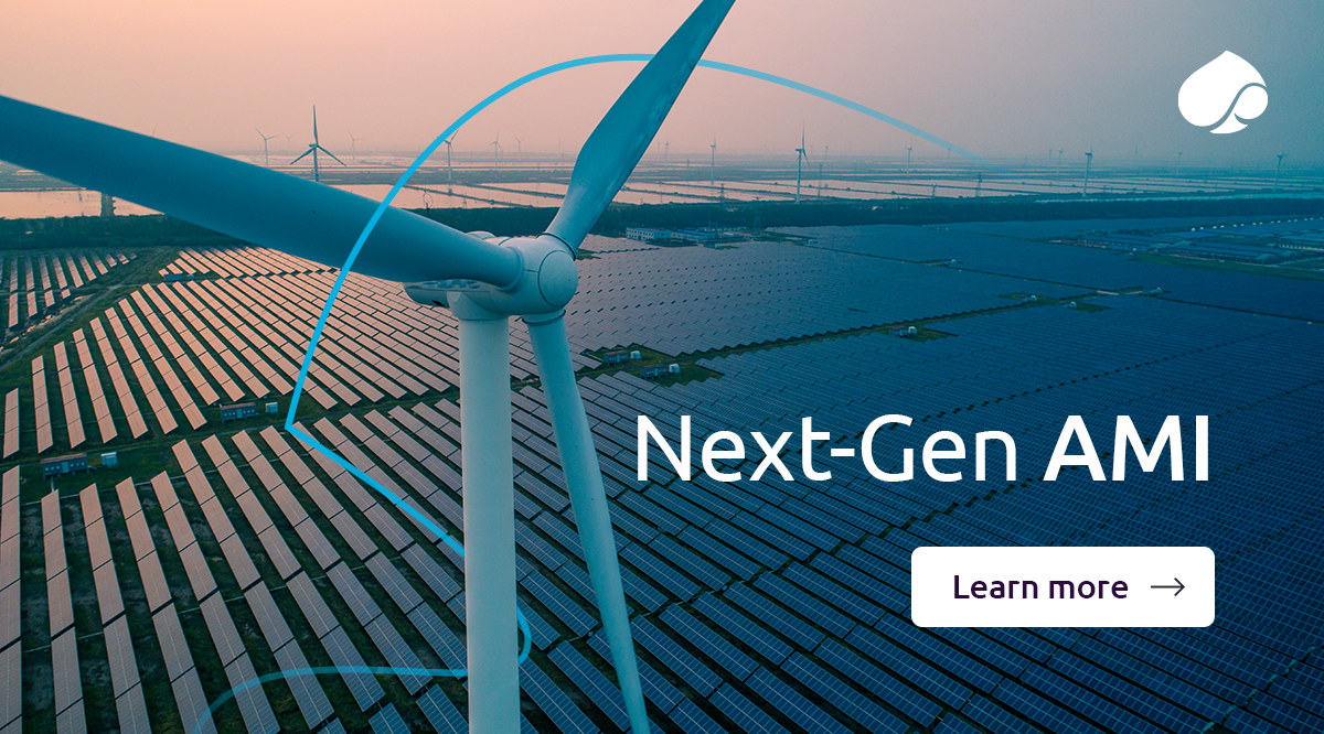 Next-Gen AMI - Capgemini USA