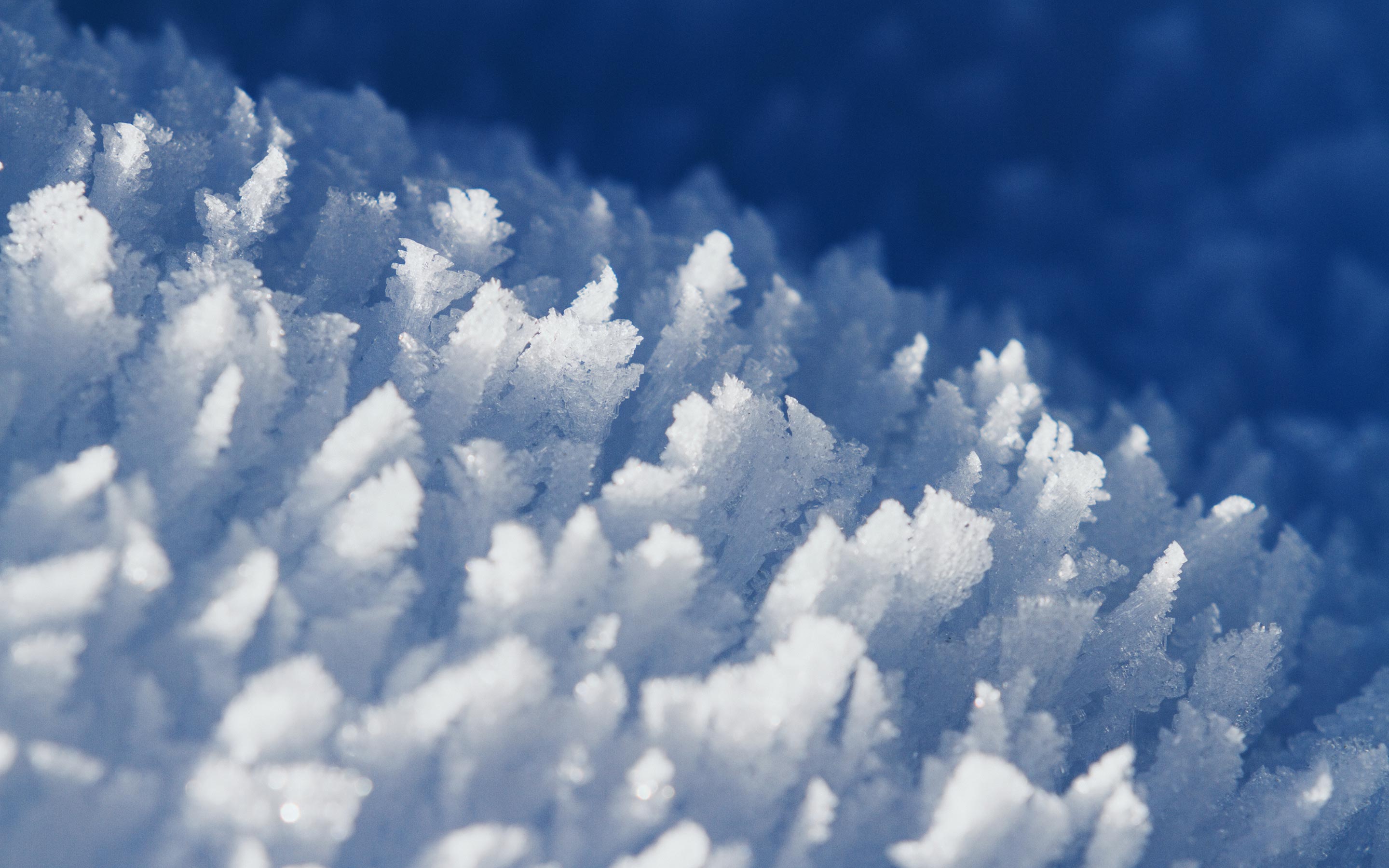 Snowflake and Capgemini powering data and AI at scale | Capgemini