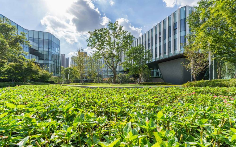 Supply chain in consumer products and retail - Capgemini