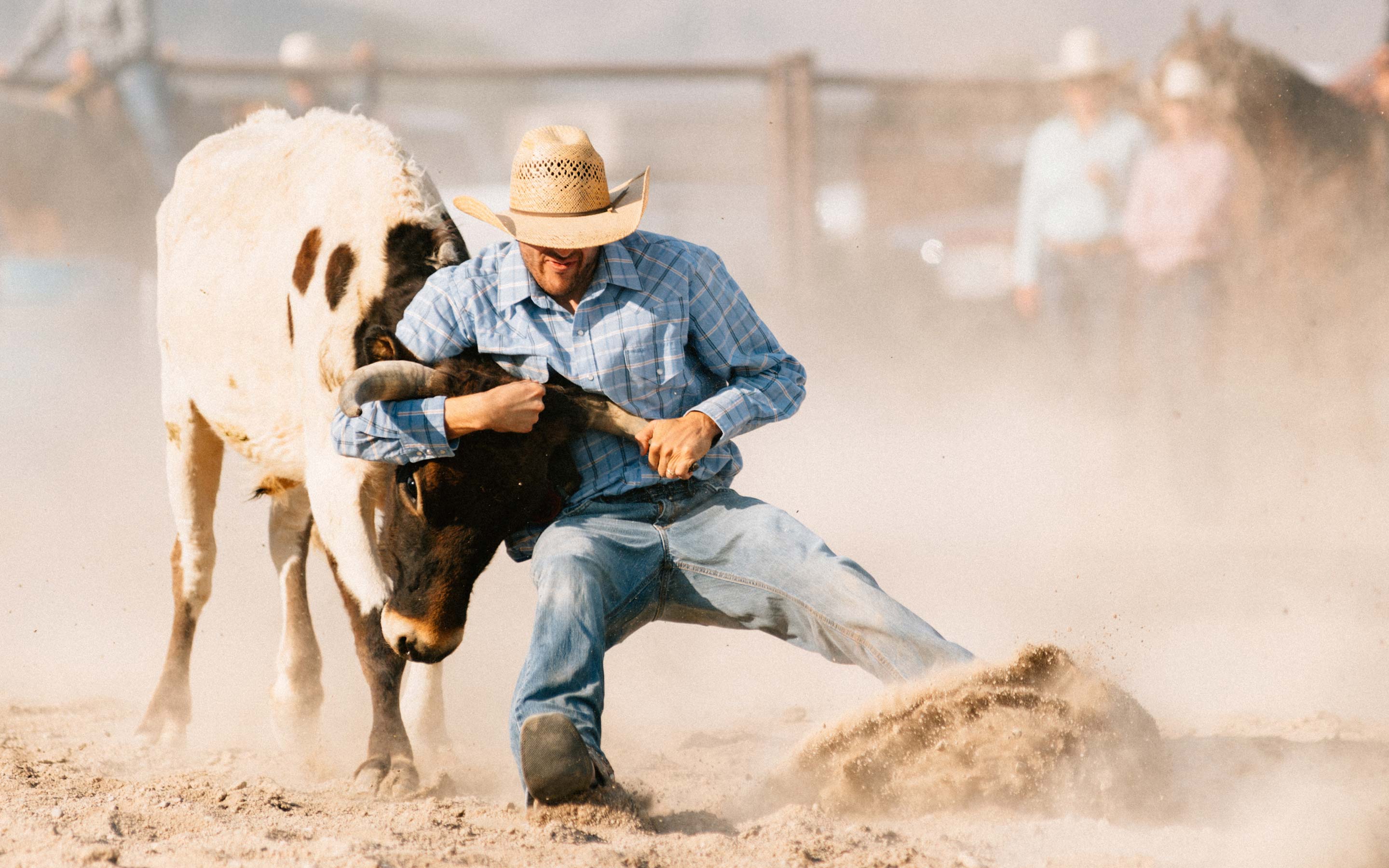 Grabbing the bull by the SLAs and KPIs | Capgemini