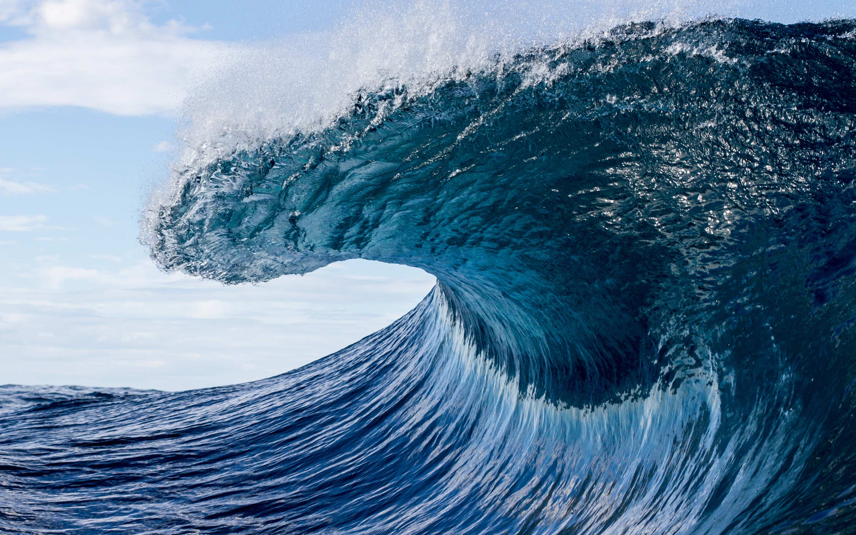 Data ecosystems on the rise | Capgemini