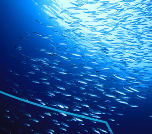 Love the Ocean – fighting climate change with undersea intelligence ...