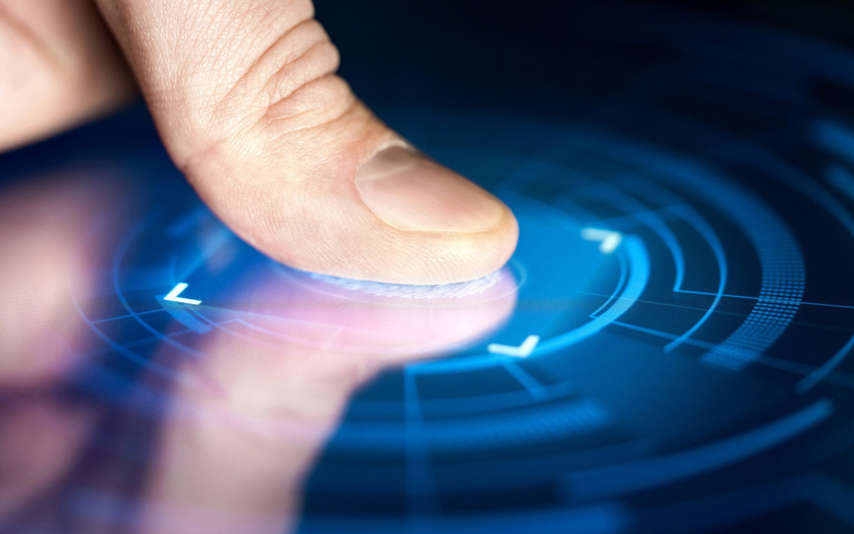 Trends in Public Security 2021-22: A Perspective from the Netherlands ...