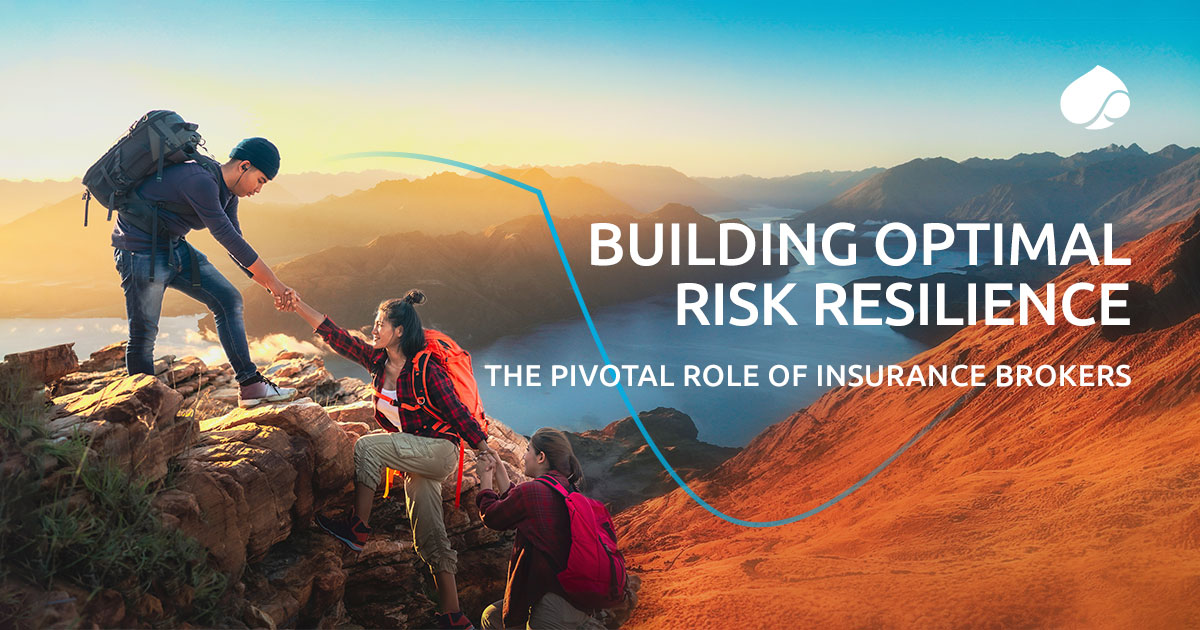 Building optimal risk resilience - The pivotal role of insurance ...