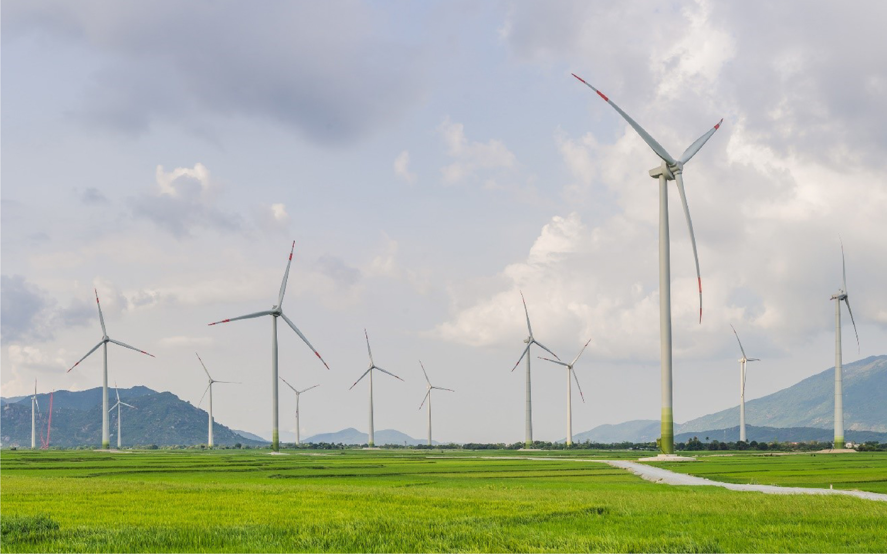 Cracking the code from within | Research & insight | Capgemini