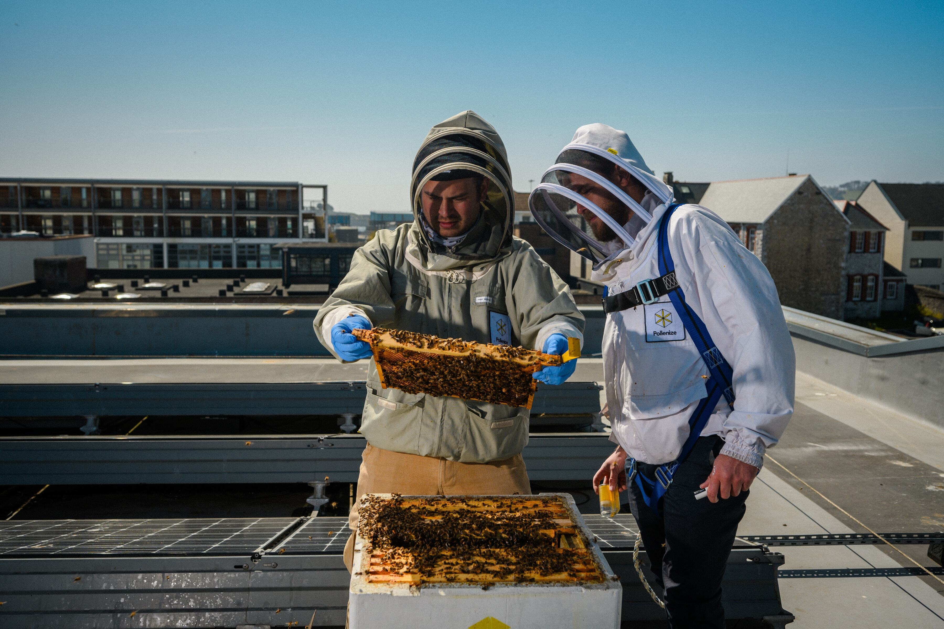 Bee positive | "Inside Stories" | Capgemini