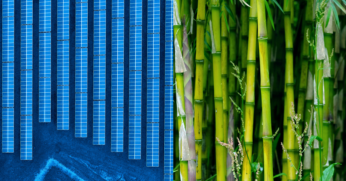 Climate Week | Event | Capgemini